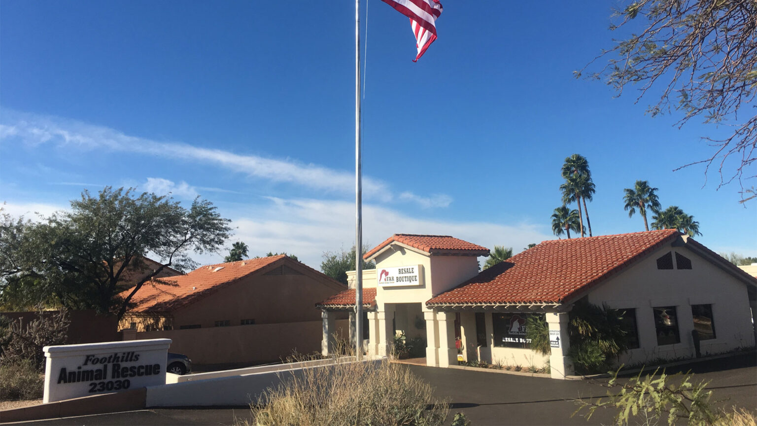 Foothills Animal Rescue – Changing Lives By Saving Lives