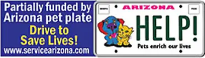 Pet Adoption in Scottsdale | Foothills Animal Rescue